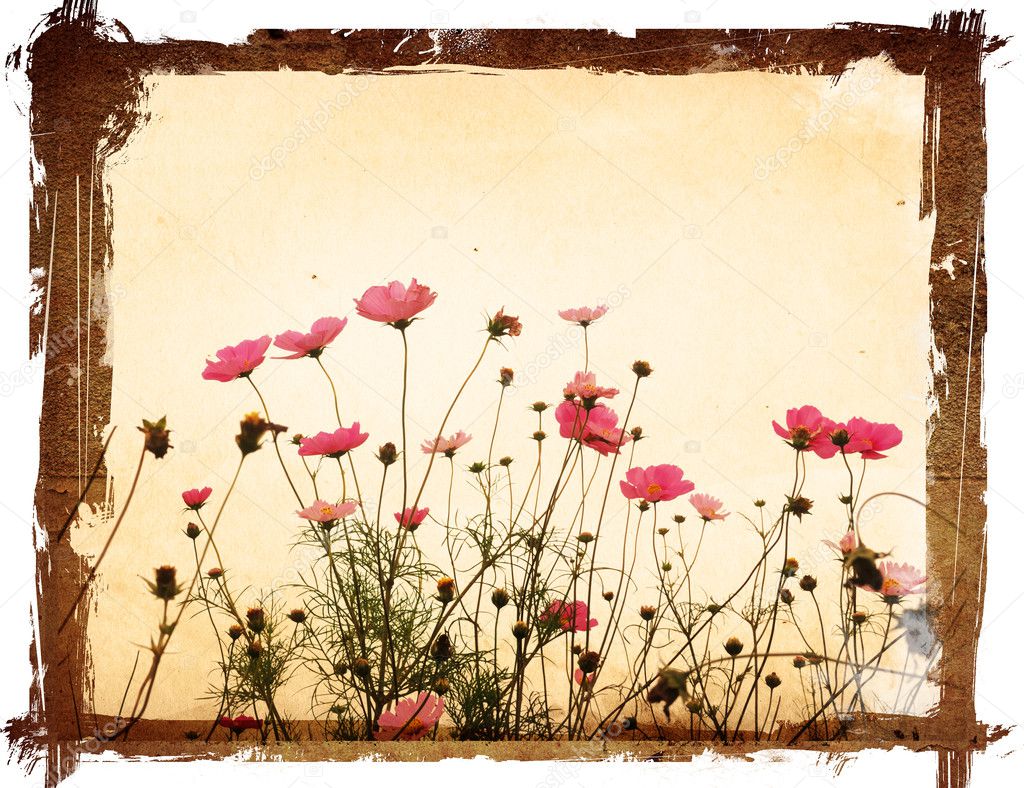 Old flower paper textures Stock Photo by ©ilolab 4486104