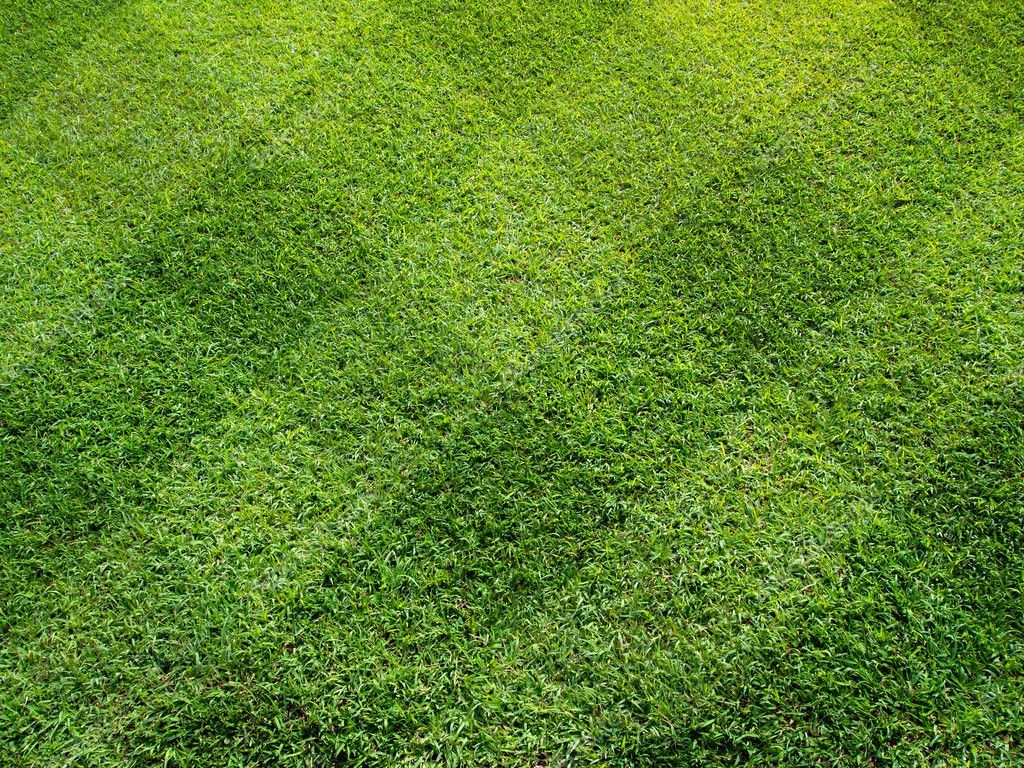 Vue de dessus de pelouse de ton carré belle quarante cinq degrés ...