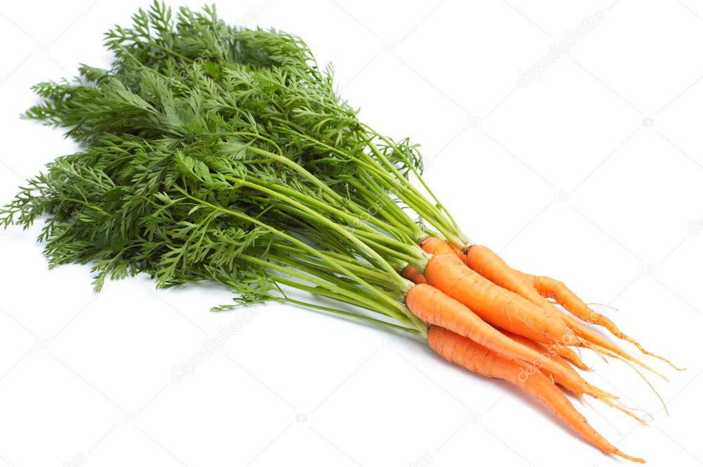 Fresh real carrot just from vegetable bed on white background — Stock ...