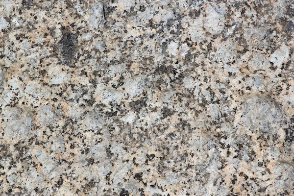 Slate tile texture — Stock Photo © blackcurrent #5300106