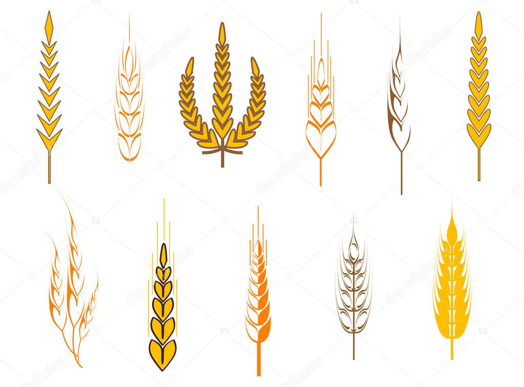 Agriculture symbols — Stock Vector © Seamartini #4651018