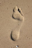 Free Stock photo of Single human footprint on the sand | Photoeverywhere
