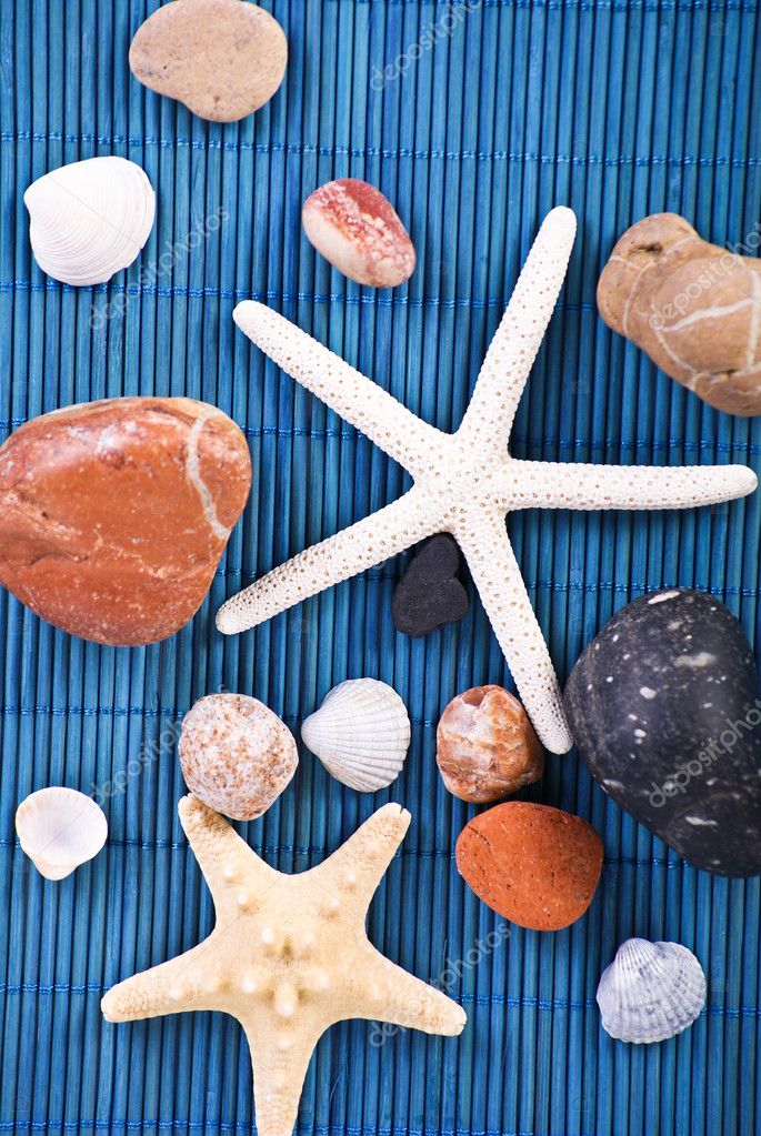 Shells and stones Stock Photo by ©pil7615 4324566