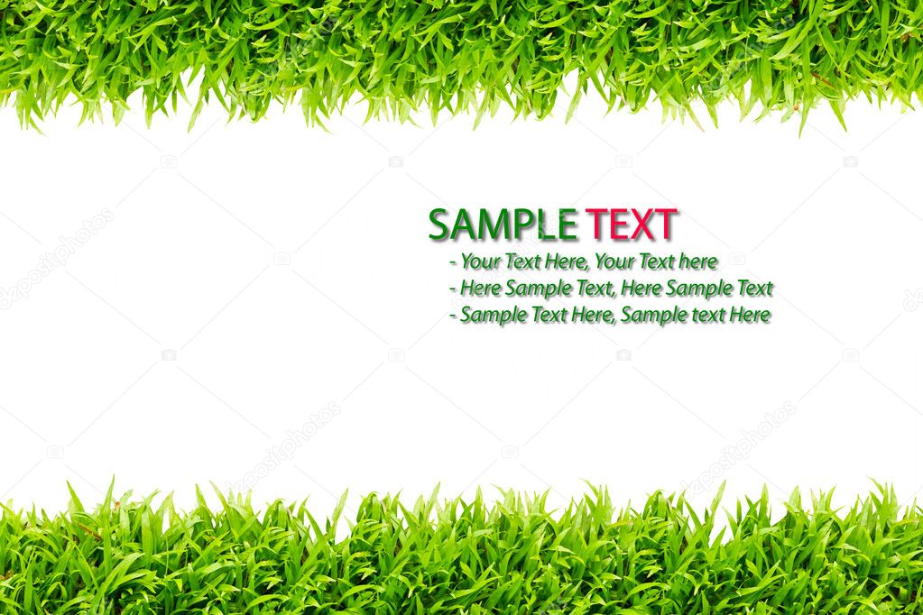 Green Grass frame isolated on white background Stock Photo by ...