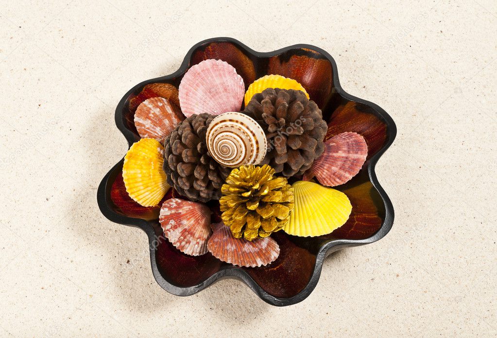 Pine cone and sea shell in the wooden tray isolate on sand background ...
