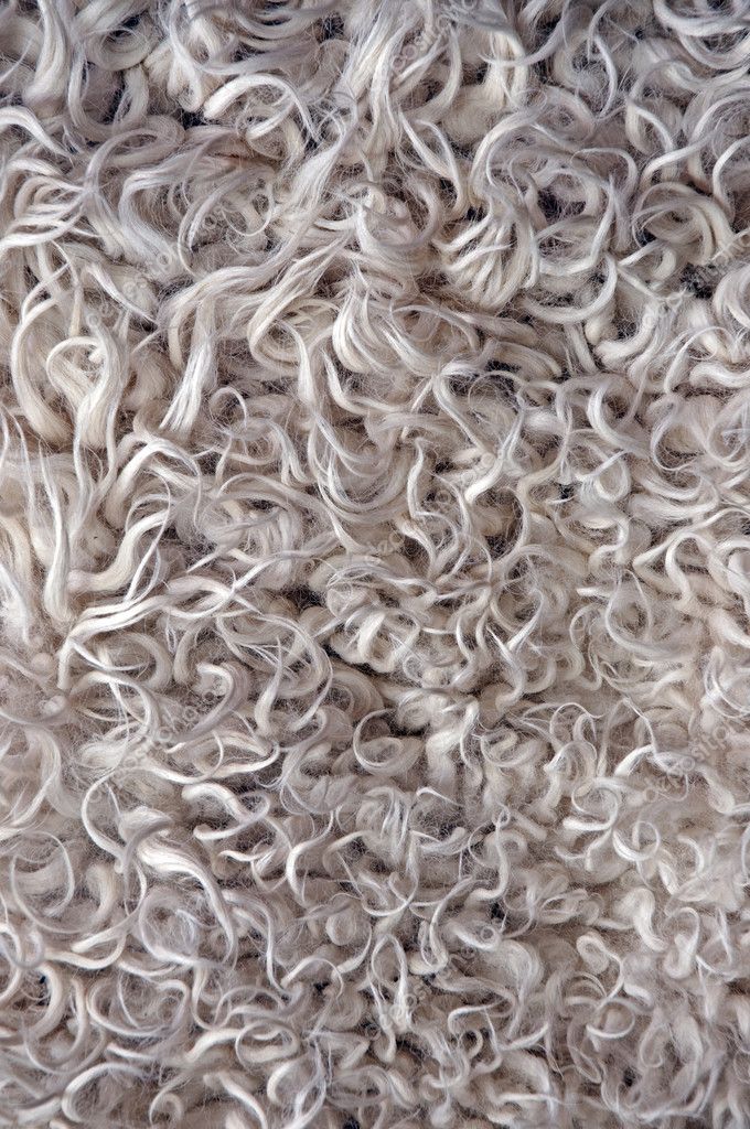 Texture of the white sheep skin — Stock Photo © alexbai #4500879