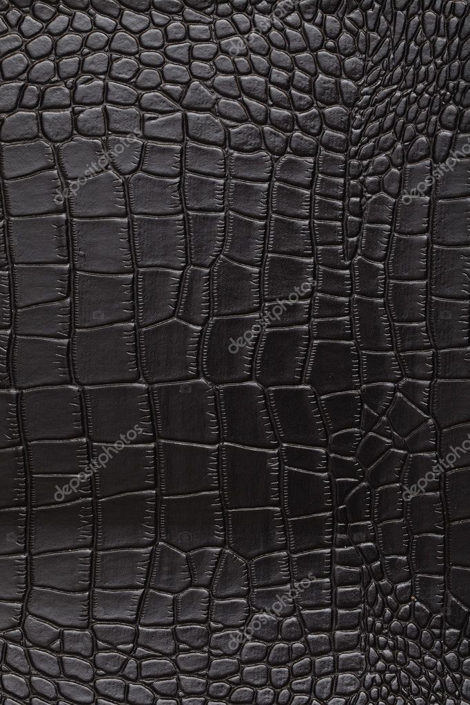 Black Crocodile Skin Background — Stock Photo © pstocks #4778638