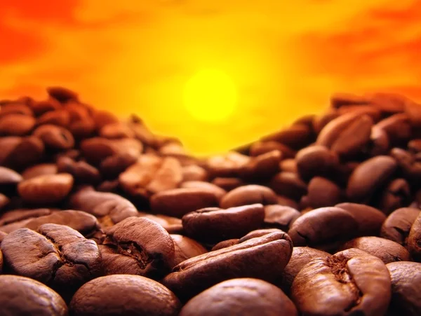 Coffee beans with sunset background Stock Photo by ©globares 4396447
