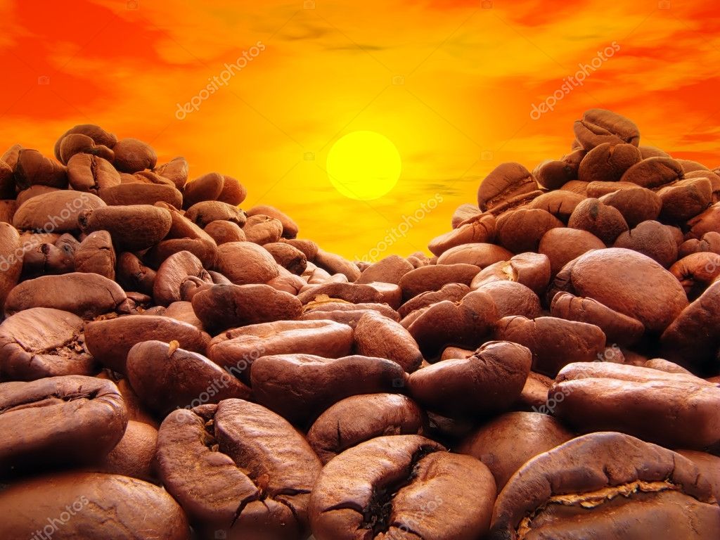Coffee beans with sunset background Stock Photo by ©globares 4396447