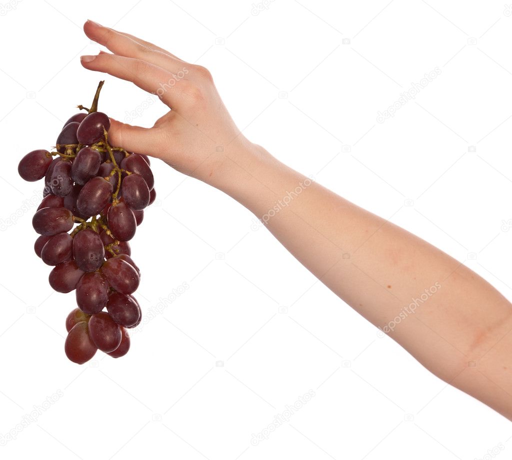 Hand holding grapes — Stock Photo © wollertz #5377051