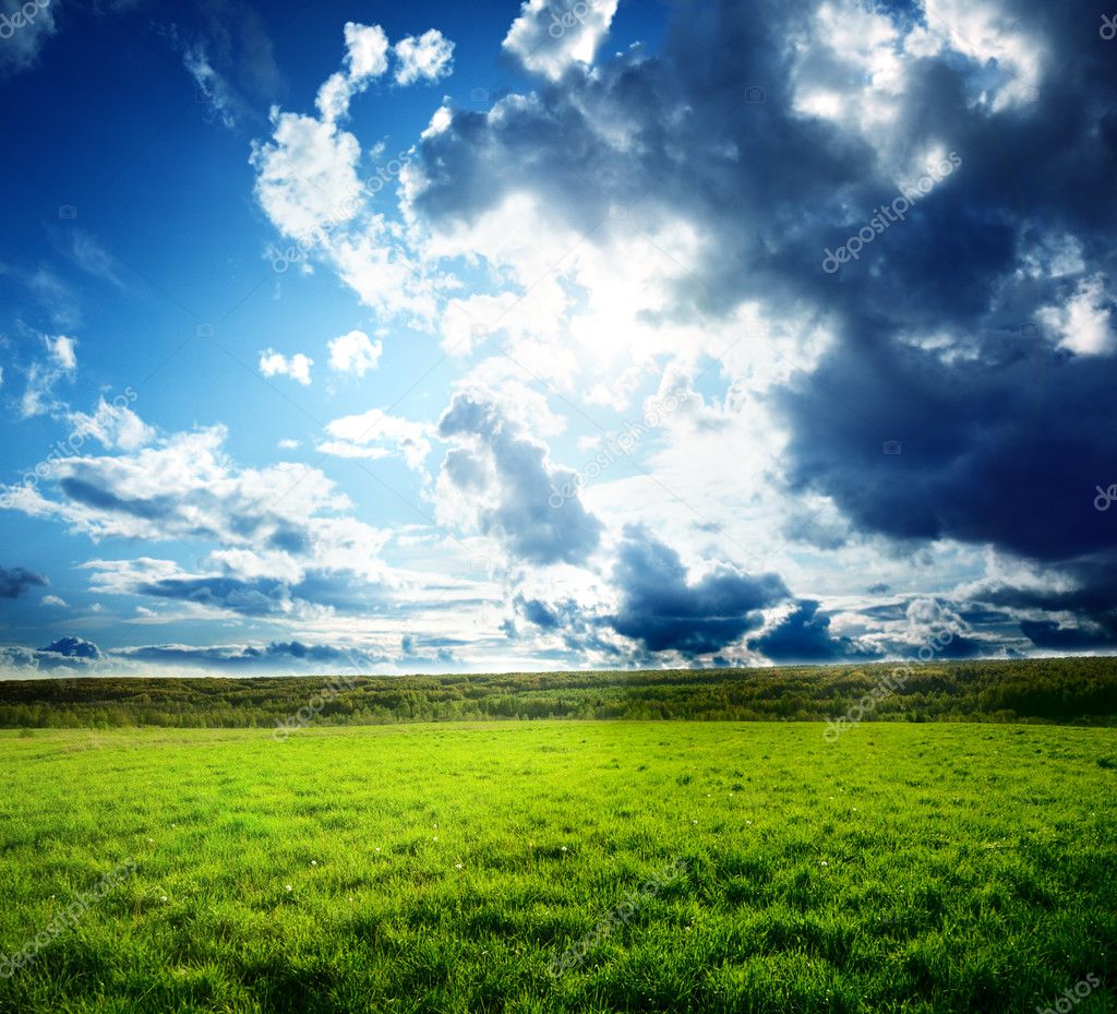Field of spring grass and sunset Stock Photo by ©Iakov 4493651