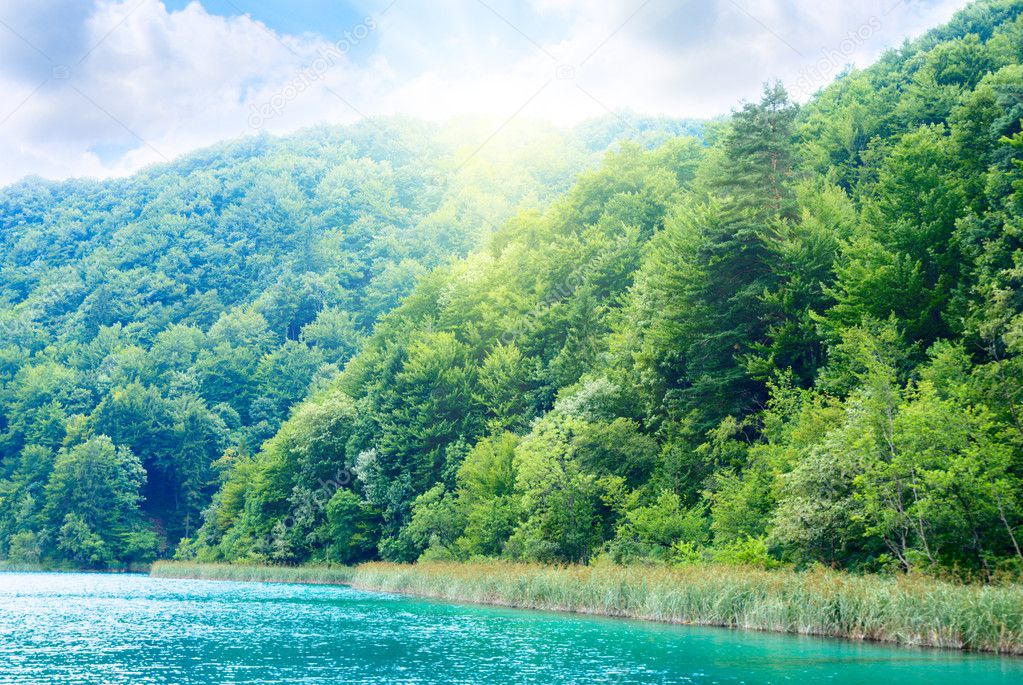 Lake Deep Forest — Stock Photo © Iakov #4608098