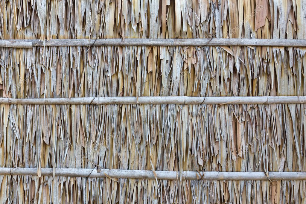 Palm leaf wall texture — Stock Photo © stoonn #4996265