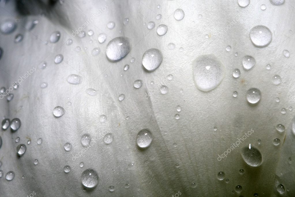 Natural waterdrop — Stock Photo © yellow2j #4764301