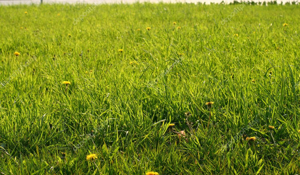 Happy landscape — Stock Photo © yellow2j #4816846