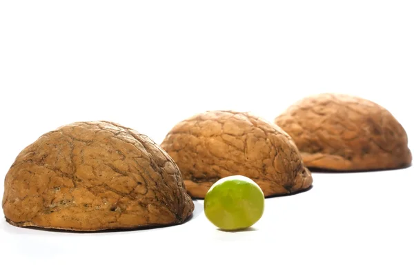 Jogo de concha Stock Photos, Royalty Free Jogo de concha Images ...