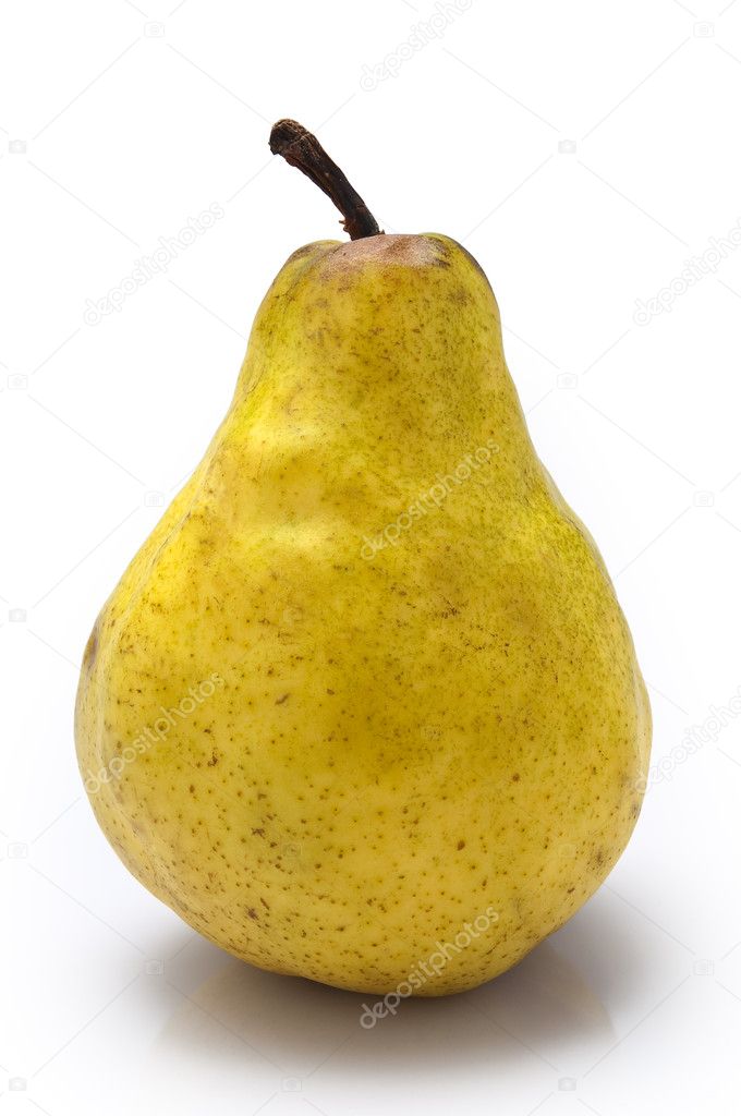 Single pear Stock Photo by ©paulrommer 4895111