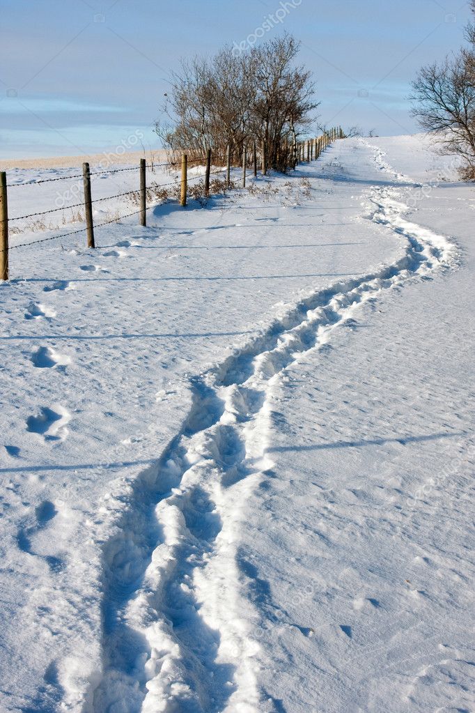 Footsteps in the Snow — Stock Photo © sprokop #5178024