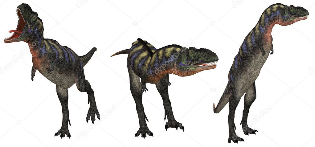 Aucasaurus — Stock Photo © gatterwe #5187443